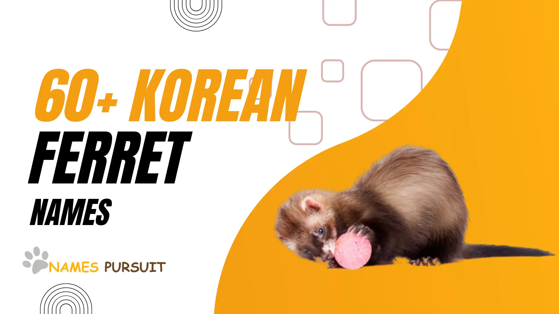 Korean Vibes for Your Ferret's Name!