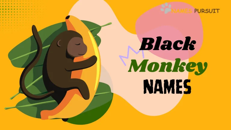 300+ Boy Monkey Names (Cute, Funny & Unique)