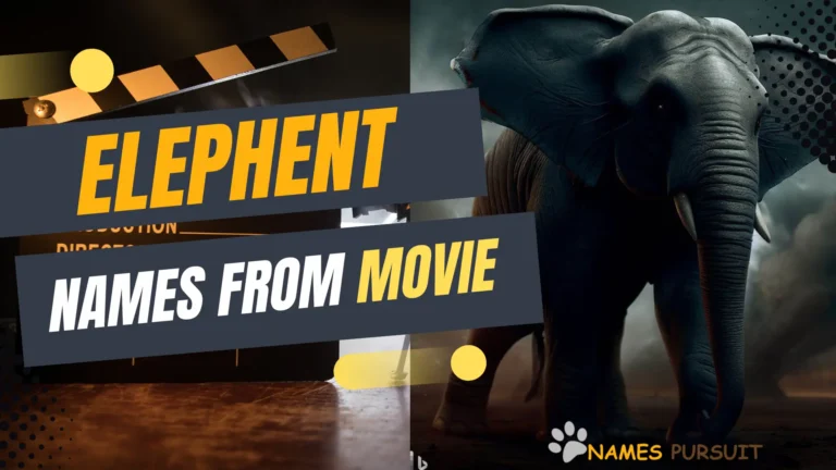 Girl Elephant Names (Cute, Popular & Funny)