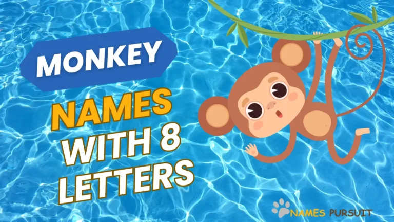 50+ Names That Mean Monkey