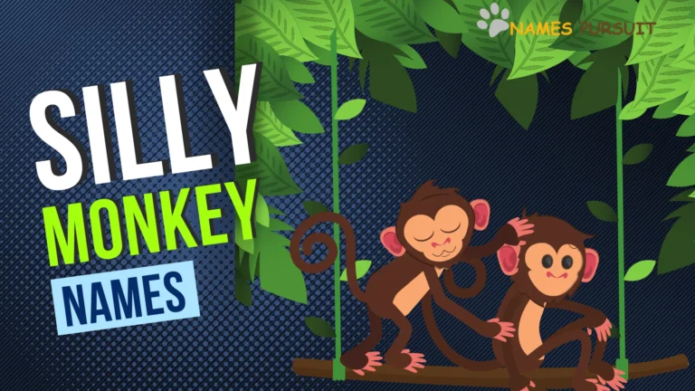 Best Finger Monkey Names