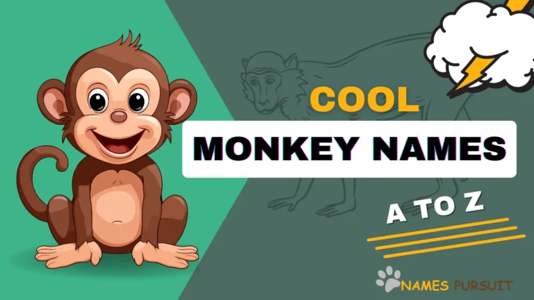 Pet Monkey Names (Famous, Cute, Funny, Sock & More)