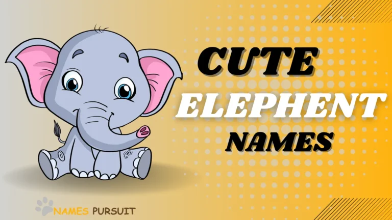 70+ Cool Names for Elephants!
