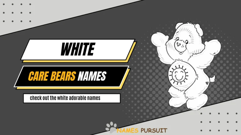 What Are The Care Bear Names in 2023?