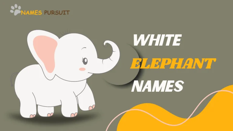Best Cartoon-Inspired Elephant Names